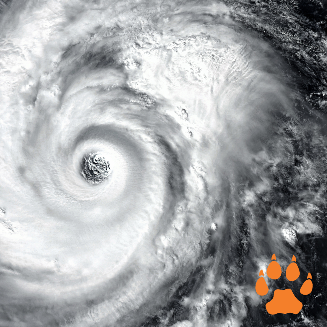 City of Fort Myers Awarded $1,072,824 in CDBG-DR Funding - East Lee News