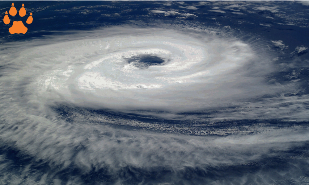 Lee County Update Post-Hurricane Helene - East Lee News