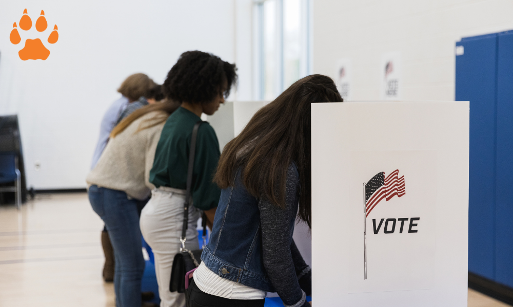 Important Voting Information Ahead of the November 5 General Election ...