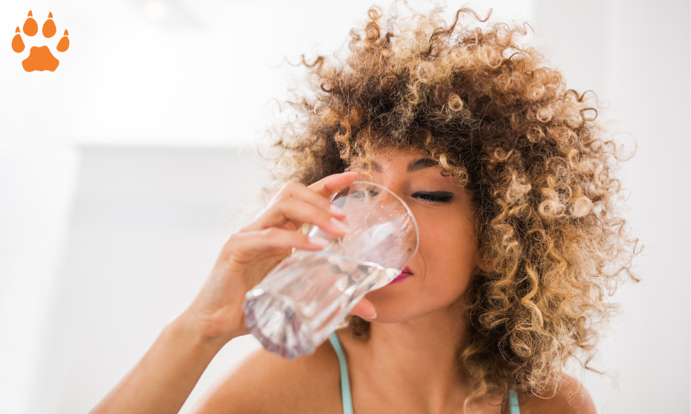 Lee County Utilities Annual Water-quality Report Available - East Lee News