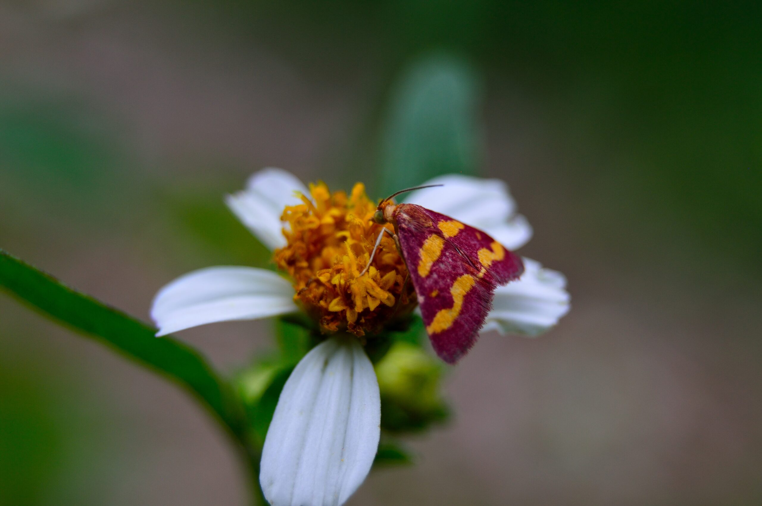 It’s A New Year. How About A New Attitude Toward Landscaping? - East ...