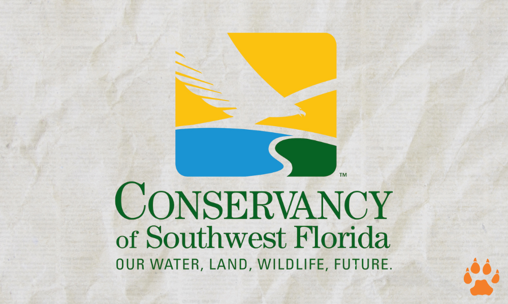 Conservancy of Southwest Florida Surpasses 20-ton Milestone in Burmese ...