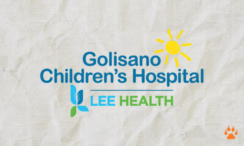 13th Annual Golisano Children’s Hospital Fashion Show Raises $113,000 ...